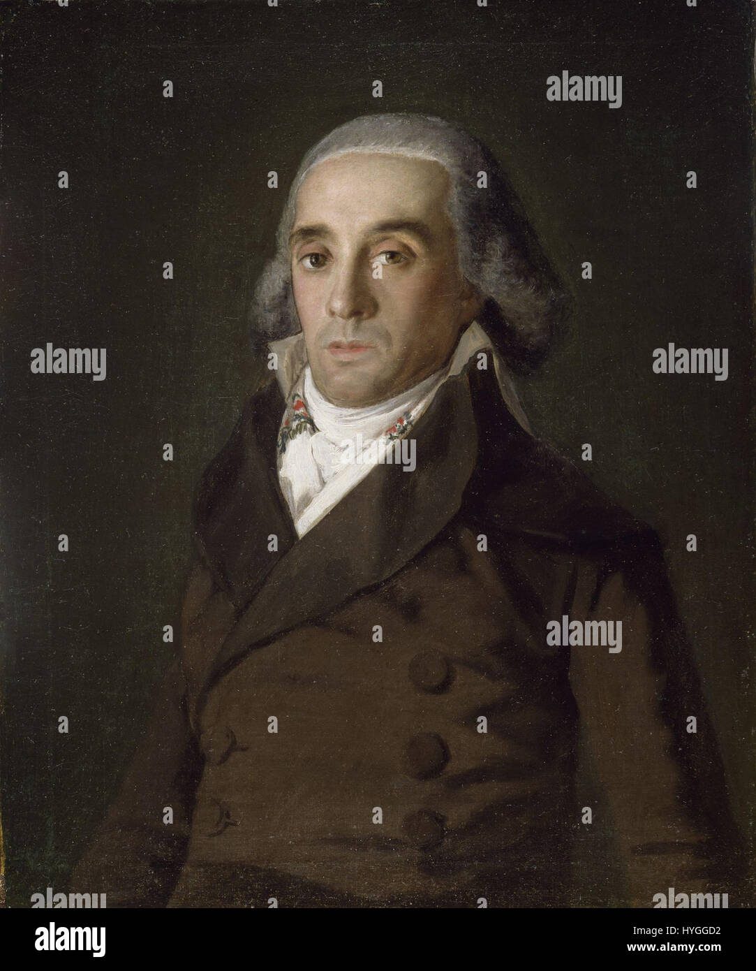 *El Conde del Tajo* is a portrait by Francisco de Goya, created around 1800. It depicts the ...