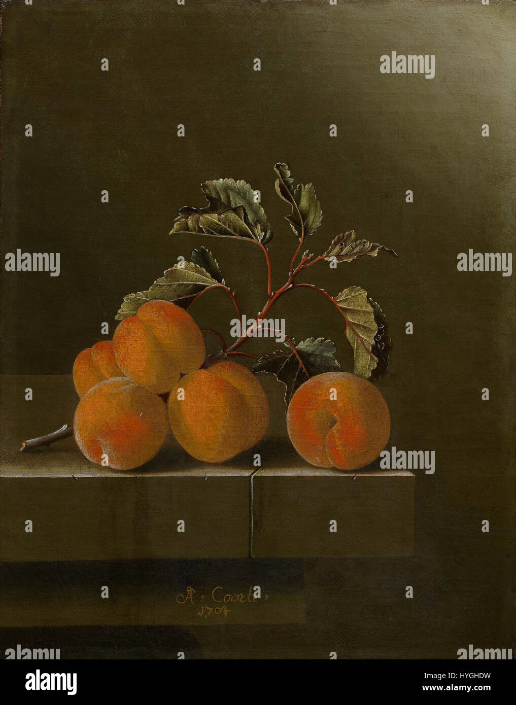 A still life painting by Adriaen Coorte, featuring five apricots ...