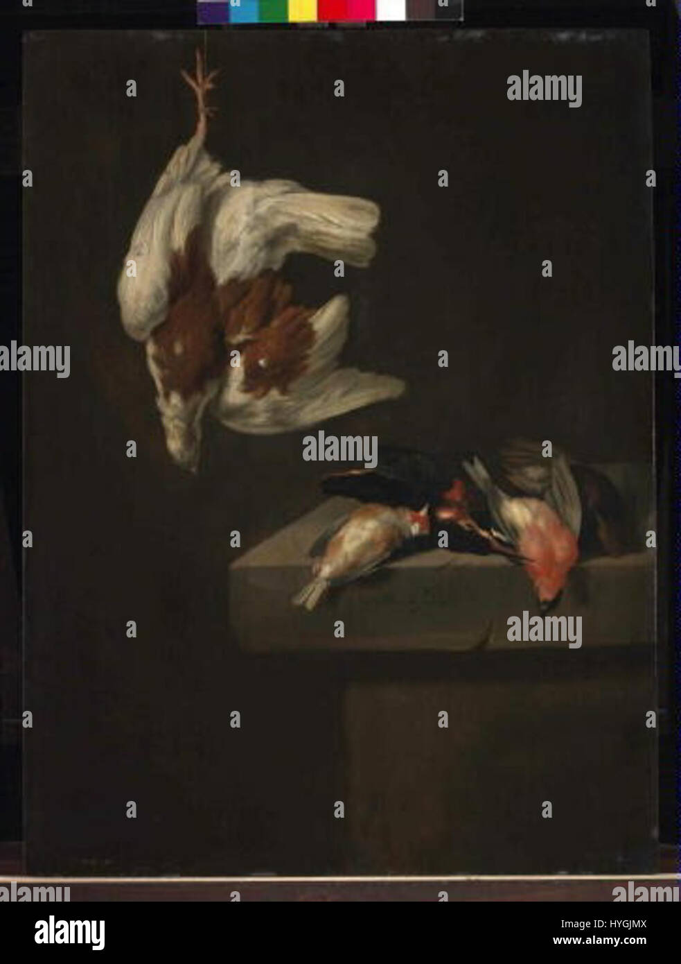 'Zatisi s mrtvymi ptaky' by Jan Vonck, translates to 'Still Life with ...