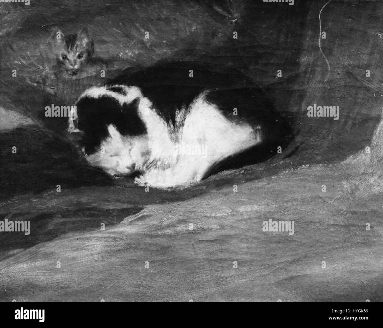 Dve design hi-res stock photography and images - Alamy