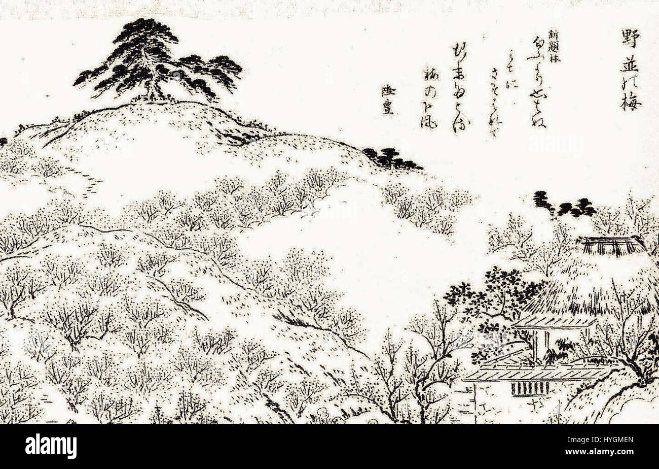 'Ume' by NONAMI is a Japanese artwork that celebrates the beauty of ...