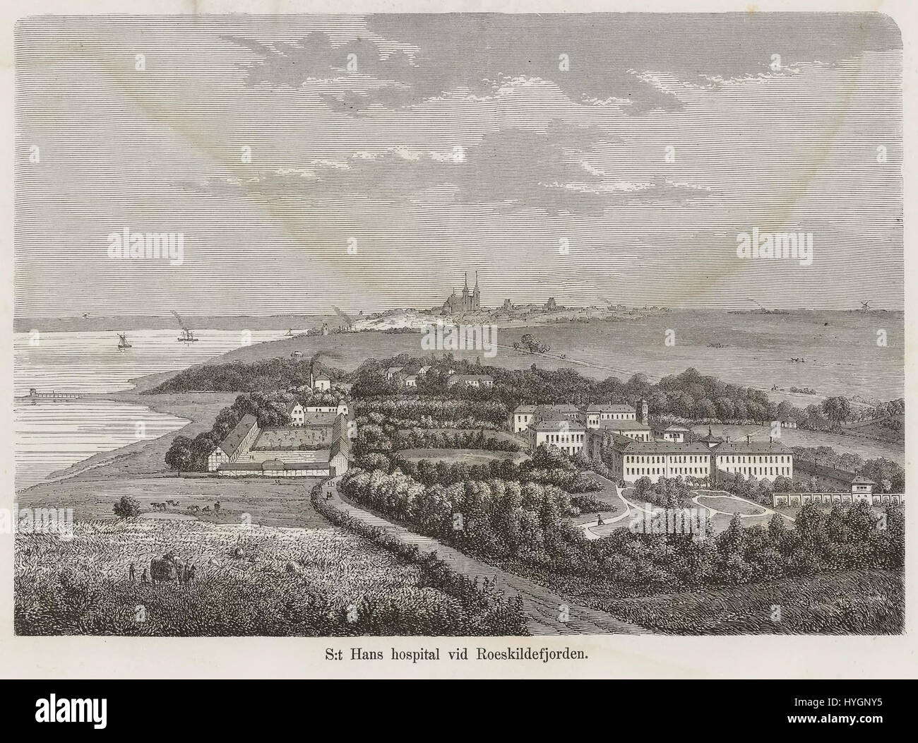 'Nordiska Taflor' is a historical Swedish collection of botanical ...