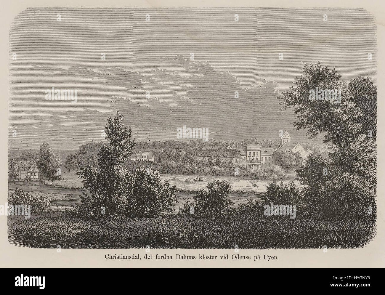 'Nordiska taflor' refers to a 19th-century Swedish botanical ...