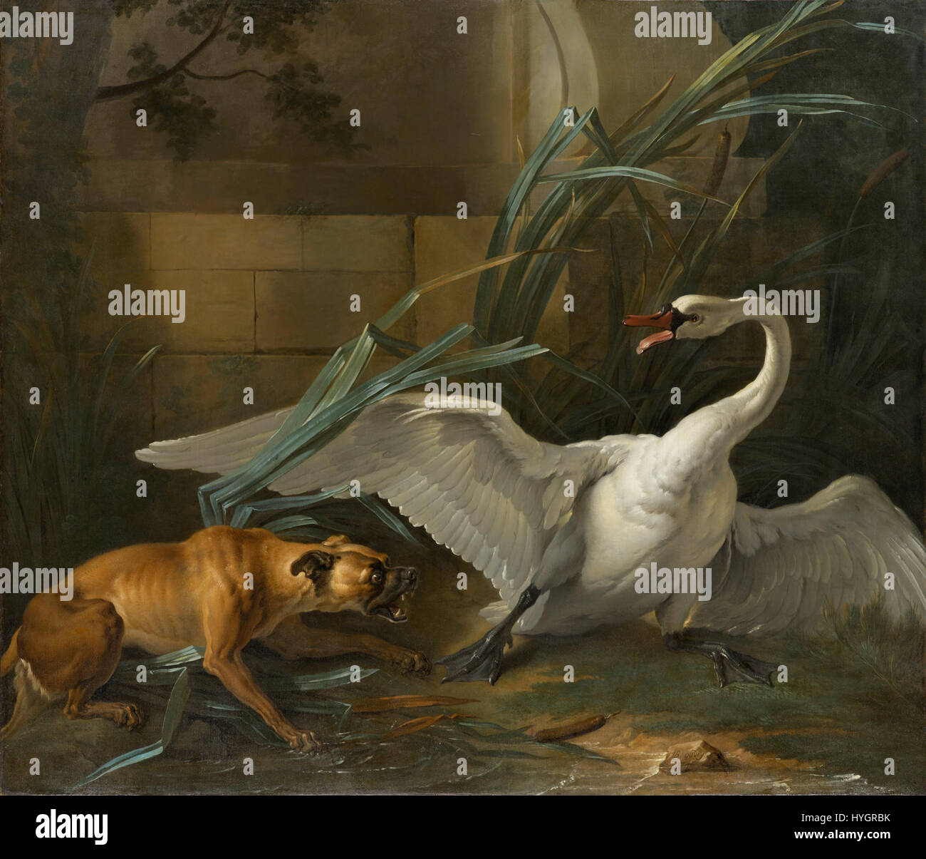 'Swan Attacked by a Dog' by Jean-Baptiste Oudry depicts a dramatic and ...
