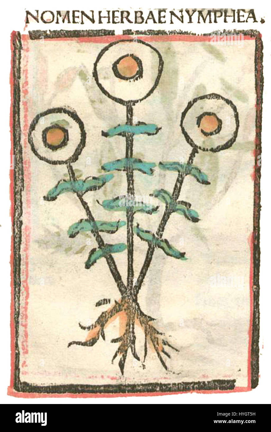 'Rom Nymphea' is a representation of a water lily, or Nymphaea, set ...