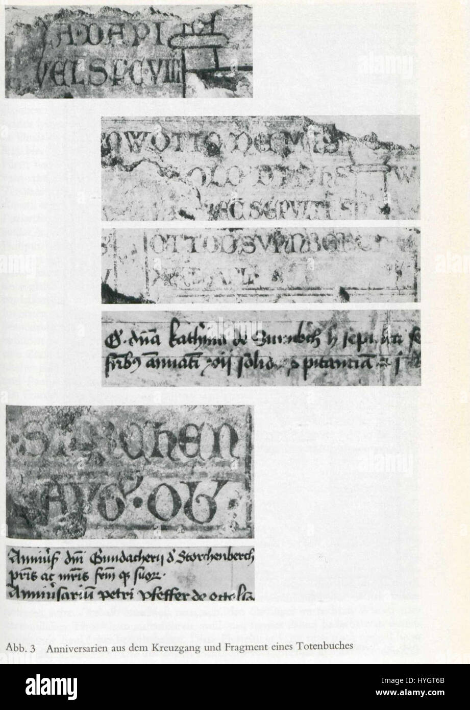 The inscriptions in the Krems Dominican Monastery are part of the ...