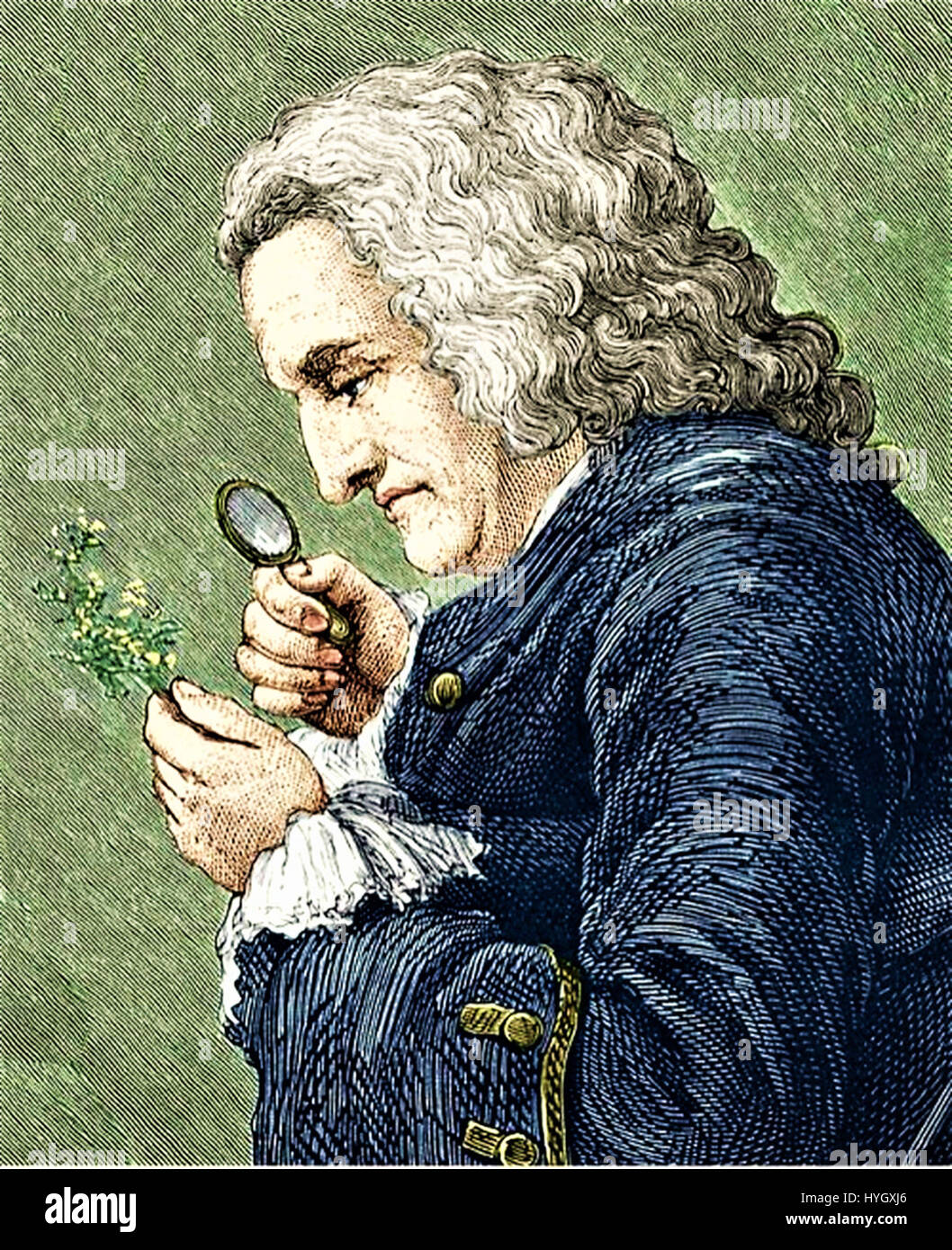 Antoine de Jussieu was a French botanist, best known for his work on ...