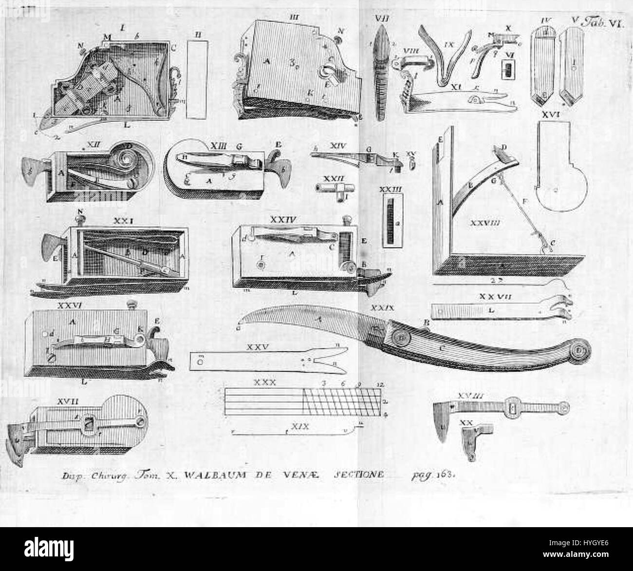 Walbaum hi-res stock photography and images - Alamy