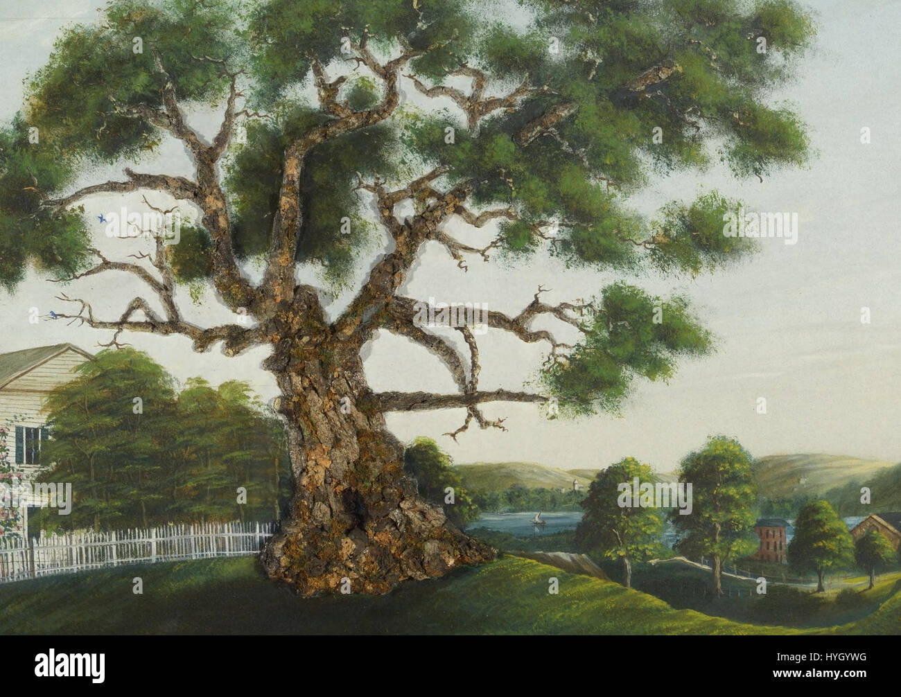 Burkhart hi-res stock photography and images - Alamy