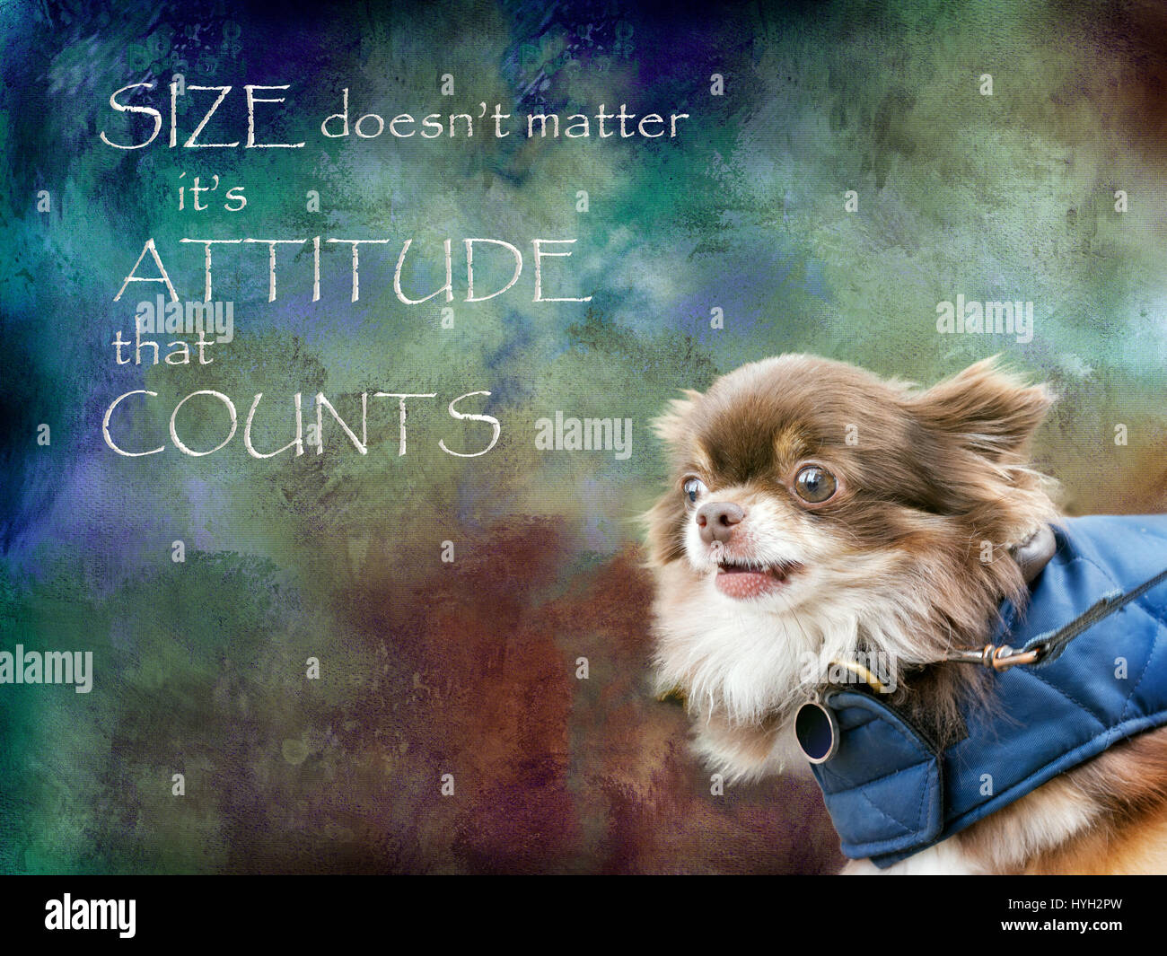 Ferocious Dog High Resolution Stock Photography and Images - Alamy