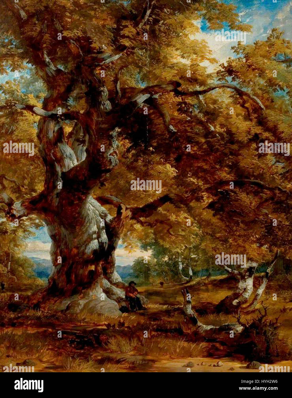 Major oak sherwood painting hi-res stock photography and images - Alamy