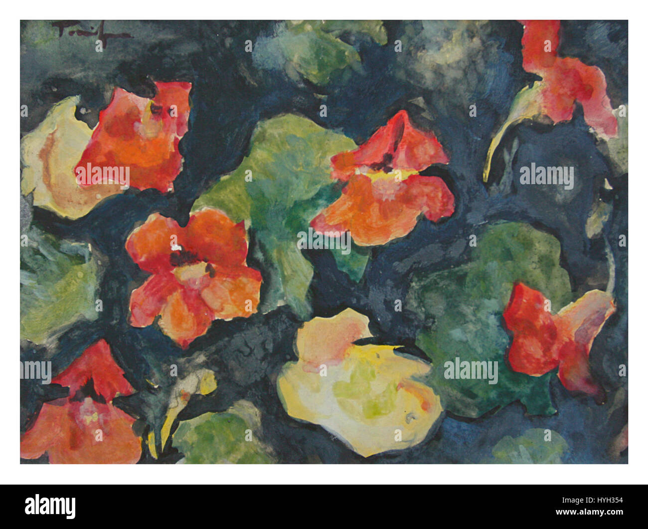 Tonitzas hi-res stock photography and images - Alamy