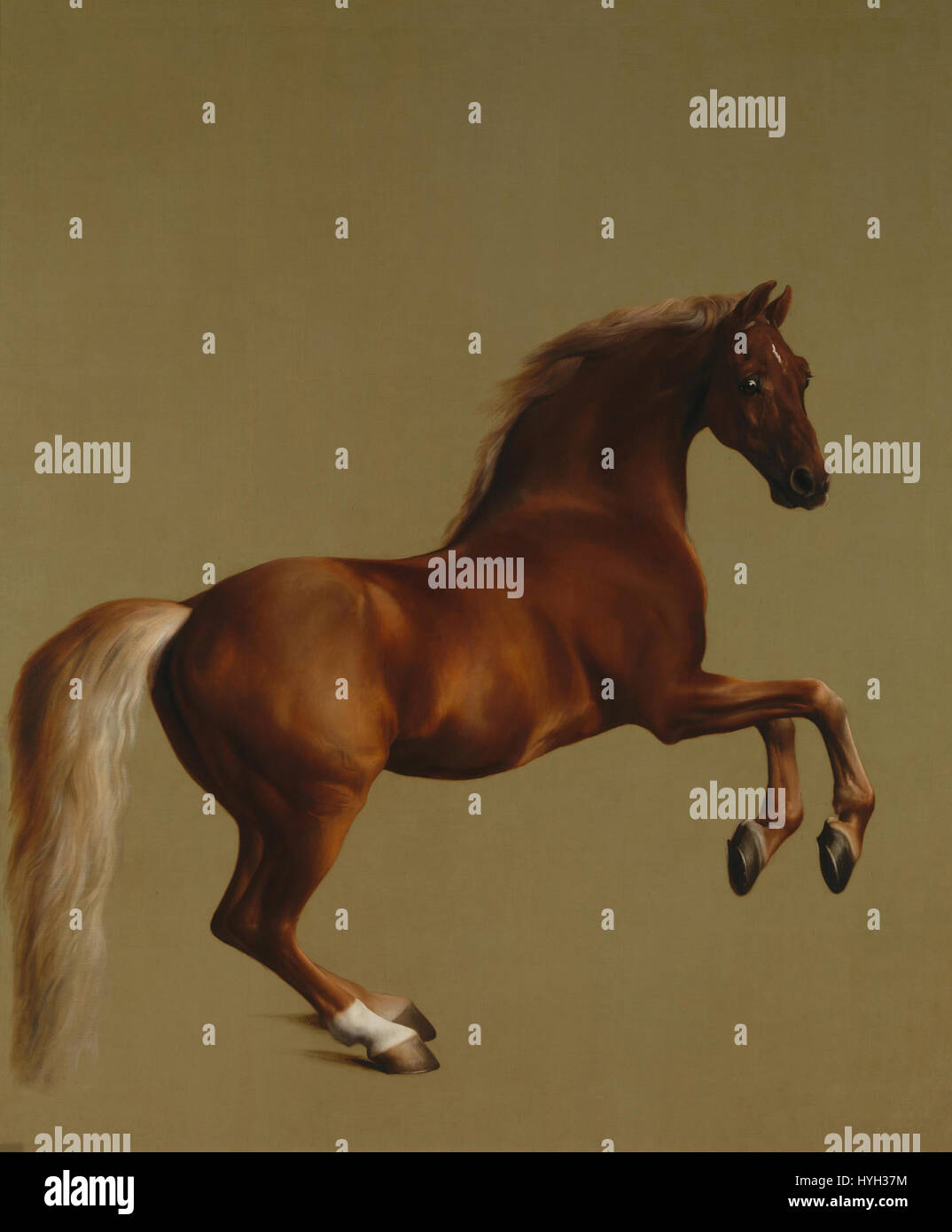 'Whistlejacket' by George Stubbs is a renowned painting that depicts a ...