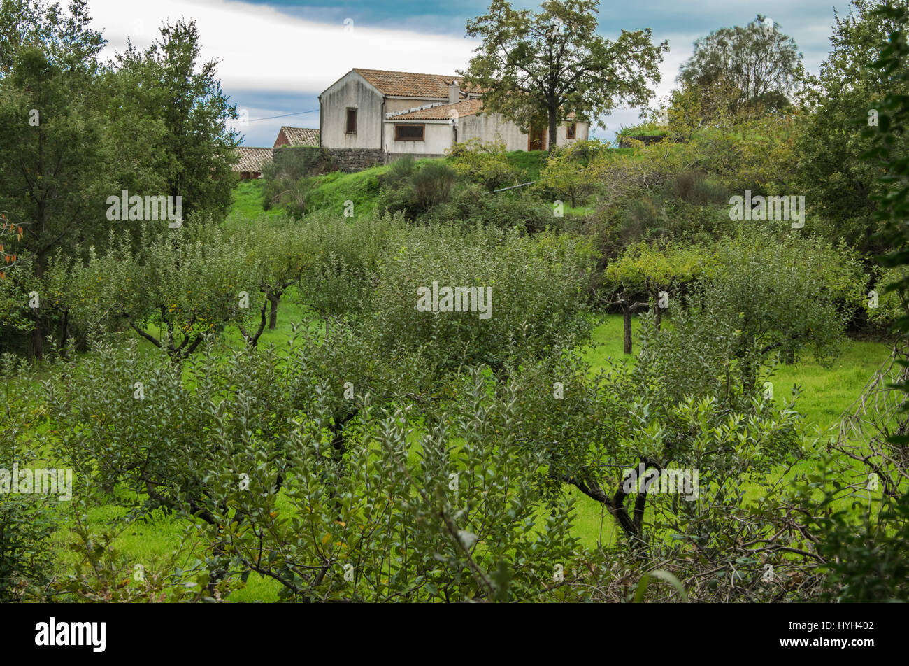 Agricultural cultivated land with the farm in high Stock Photo - Alamy