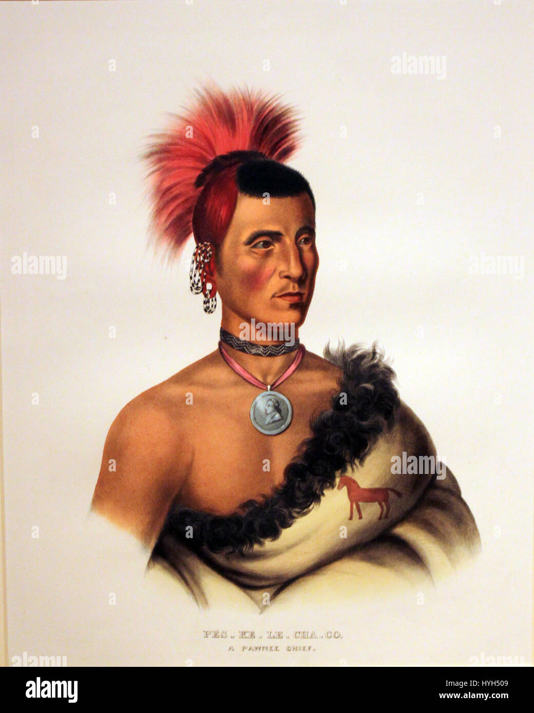 A portrait of the Pawnee Chief Pes Ke Le Cha Co, painted by George ...
