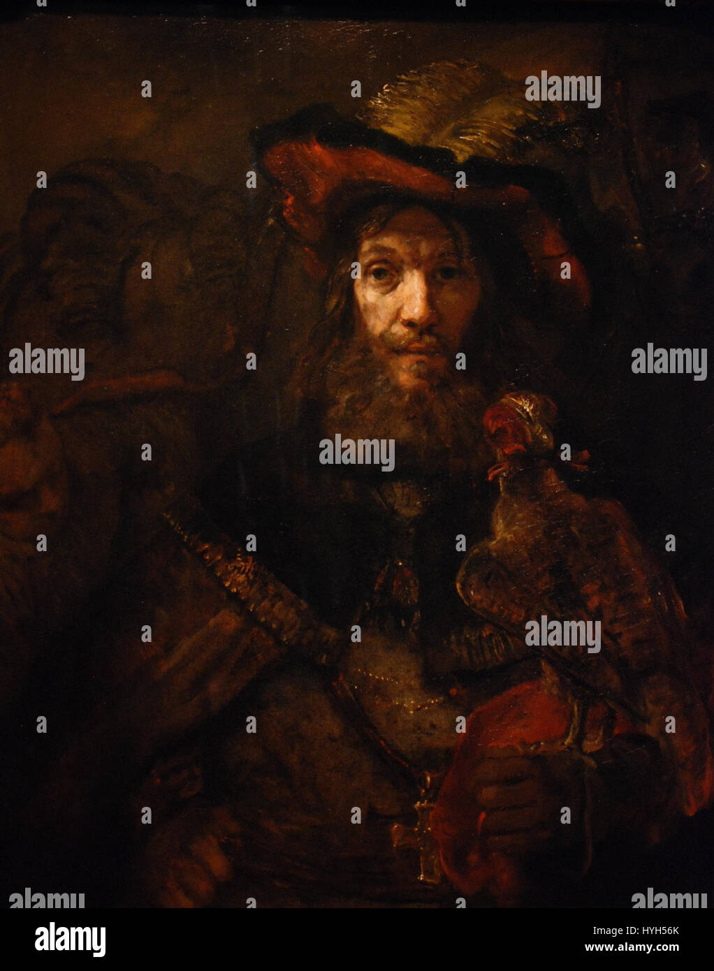 Falcon knight hi-res stock photography and images - Alamy