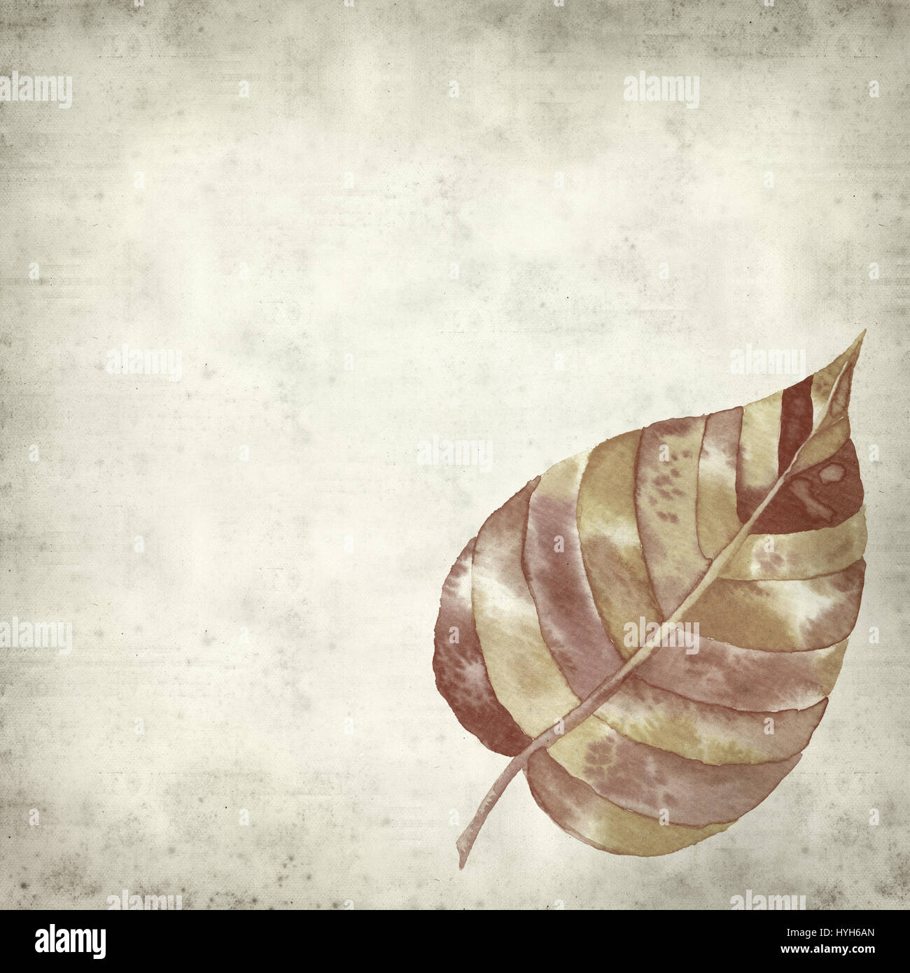 textured old paper background with watercolor autumnal leaves Stock ...