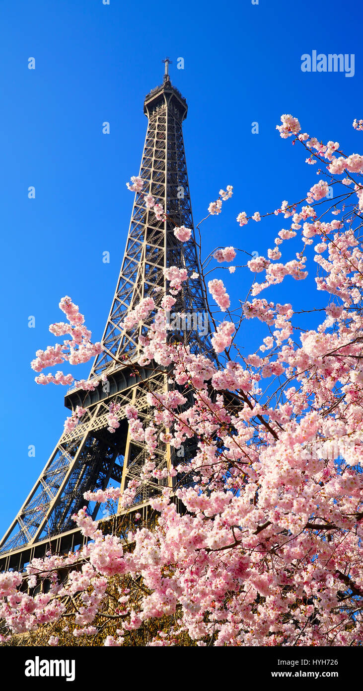 Eiffel Tower in spring time, Paris, France Stock Photo - Alamy