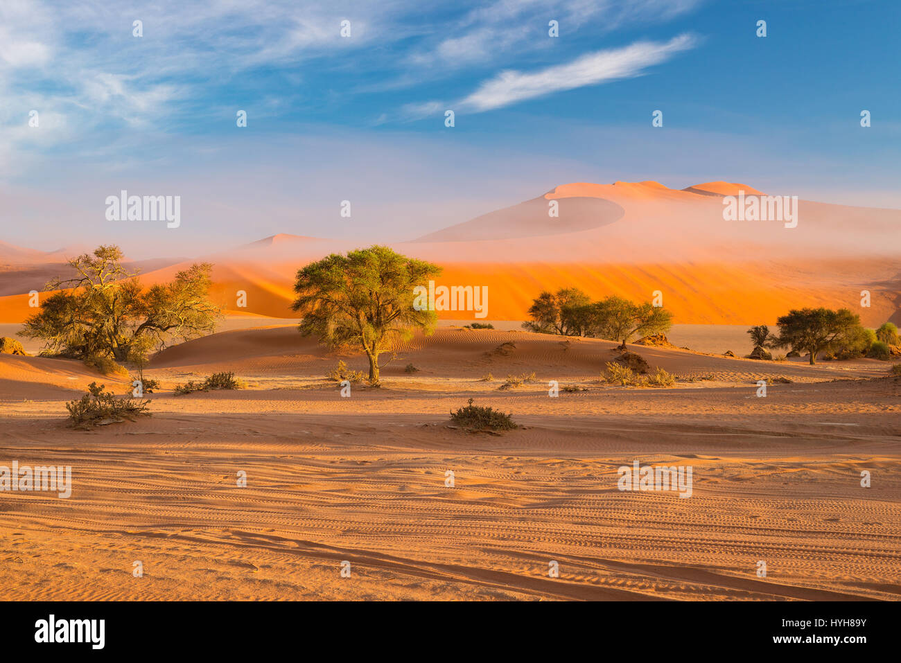 Sand dunes in the Namib desert at dawn, roadtrip in the wonderful Namib ...