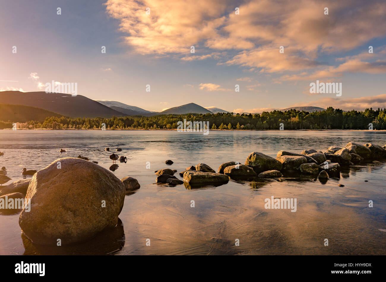 Frozen Scottish lake in Scottish Highlands with pink clouds reflection ...