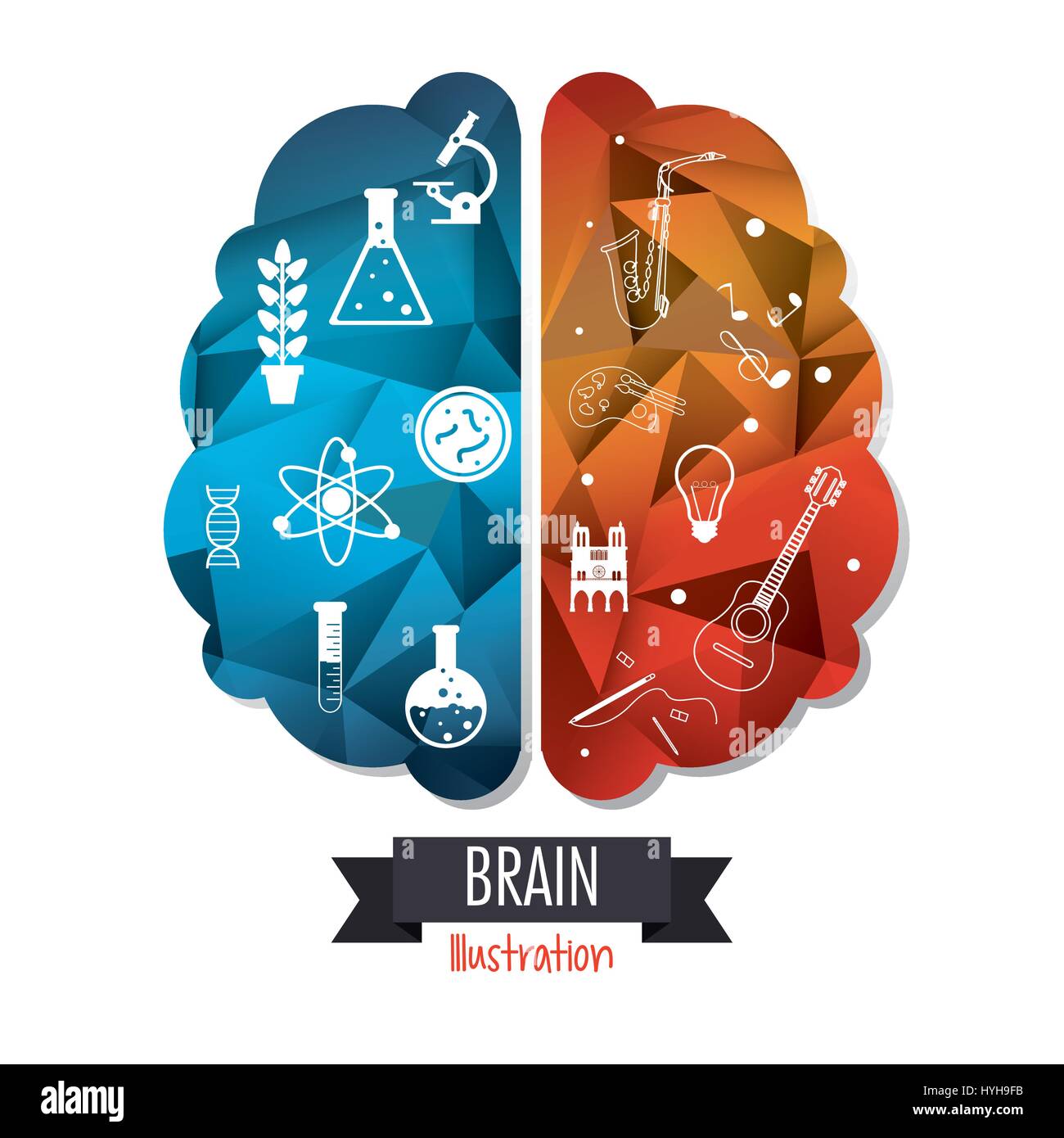 Brain design. Mind concept. White background , editable vector Stock ...
