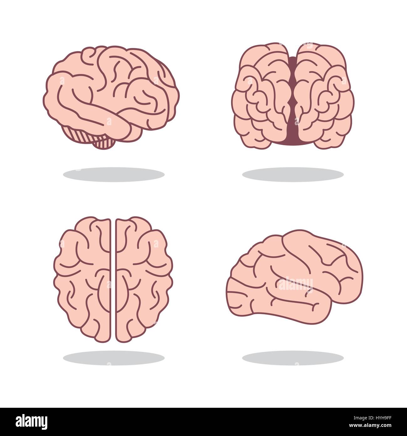 Brain design. Mind concept. White background , editable vector Stock ...