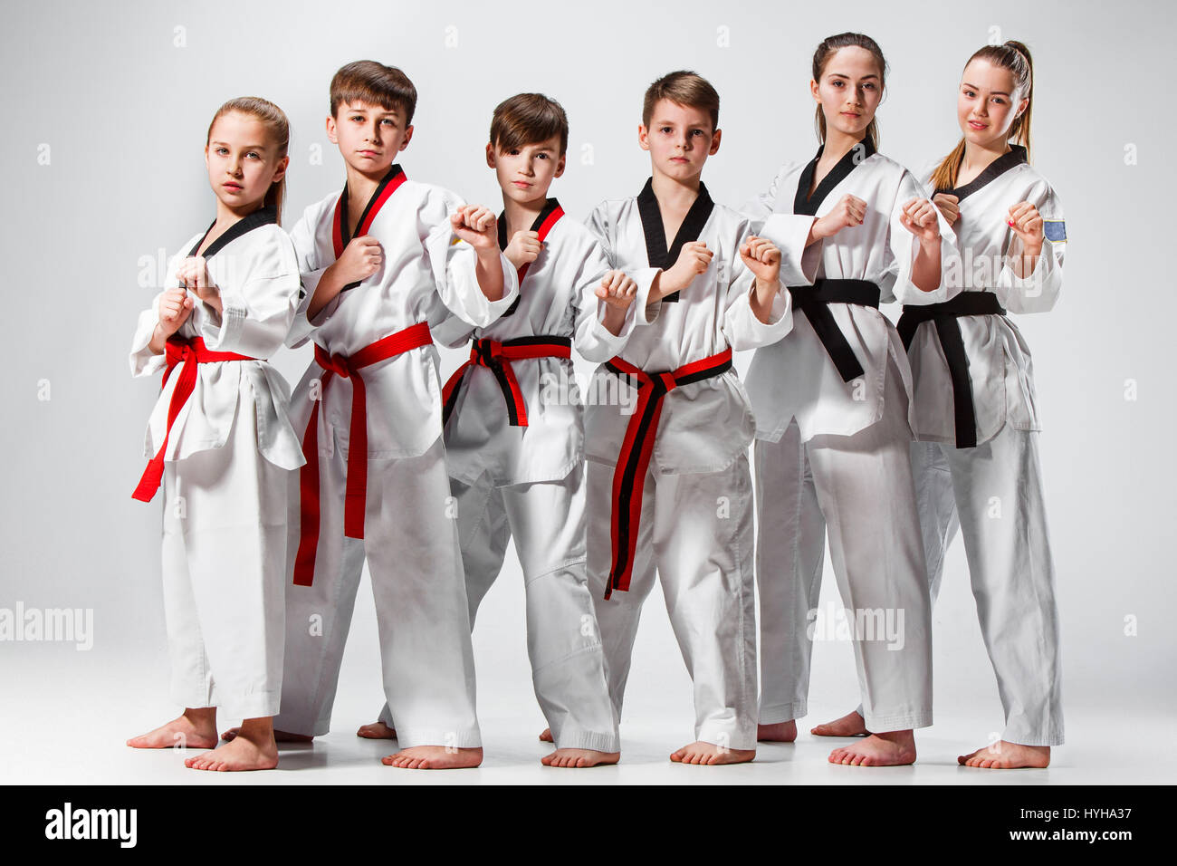 The studio shot of group of kids training karate martial arts Stock ...