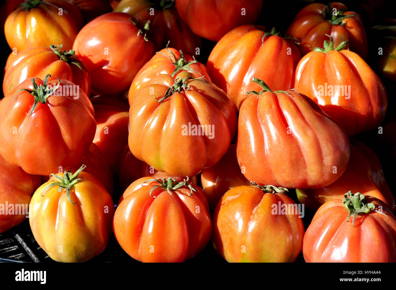 raf tomatoes at the market Stock Photo - Alamy