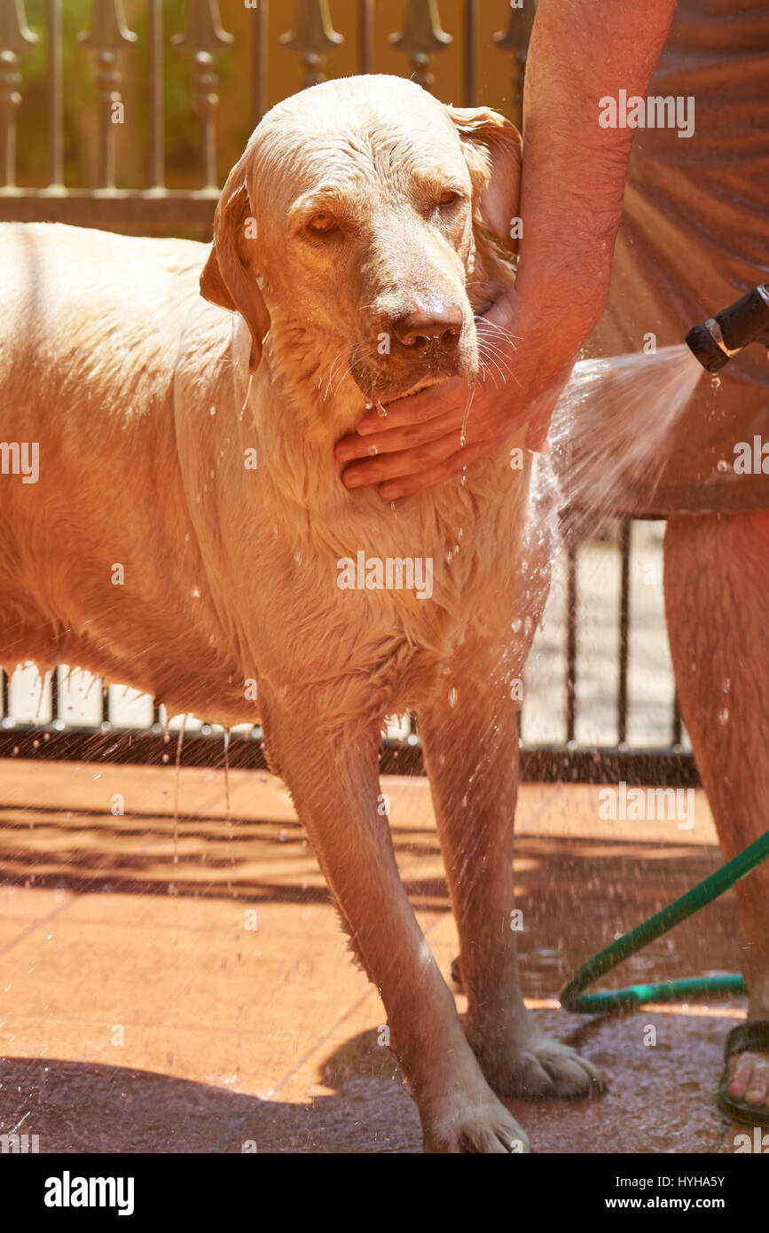 Domestic shower water hi-res stock photography and images - Alamy