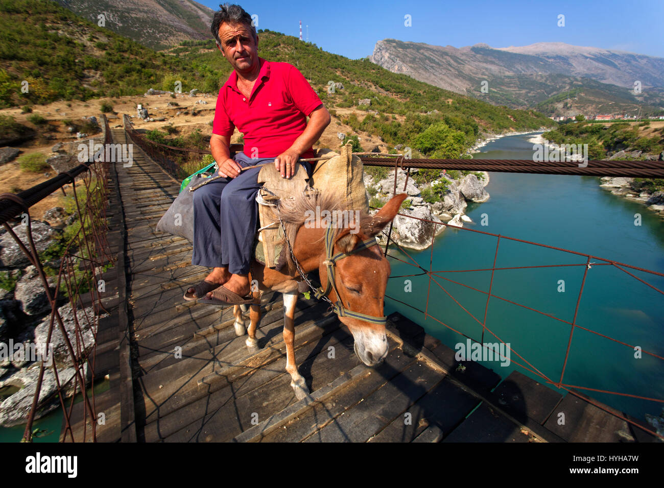 Man riding the donkey on the hanging bridge on Vjosa River, Albania ...