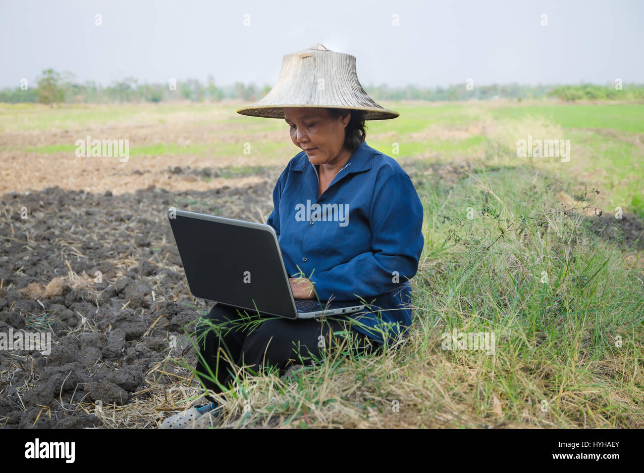 Asian Thai farmer using laptop computer in the rice field Stock Photo ...