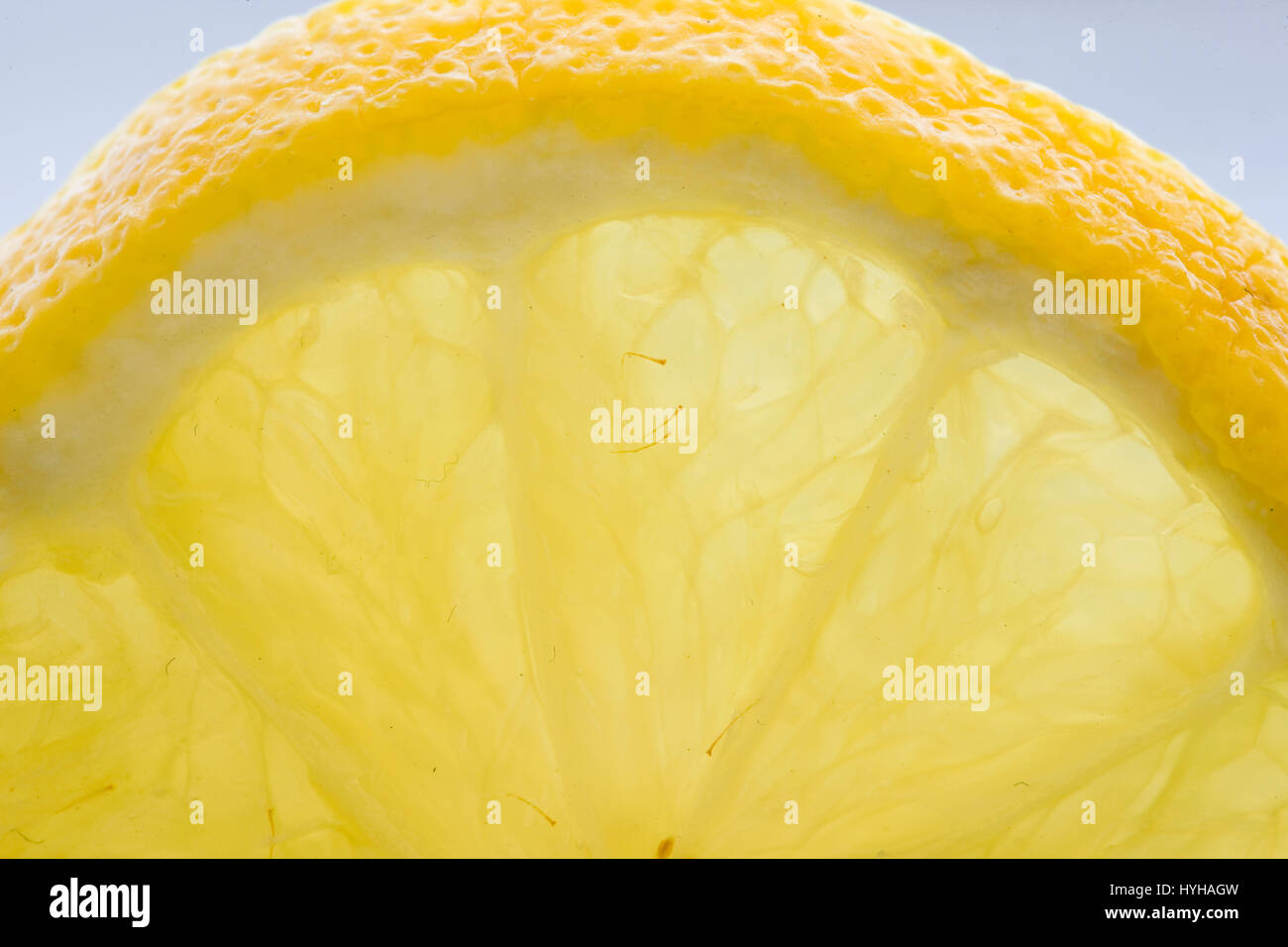 Macro studio hi-res stock photography and images - Alamy