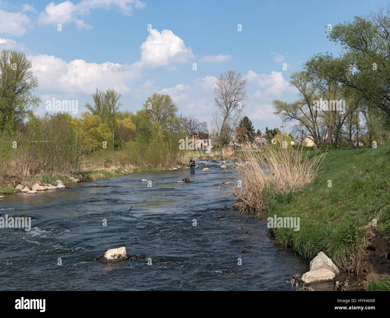 Fly fishing in the renatured Nidda River Stock Photo - Alamy