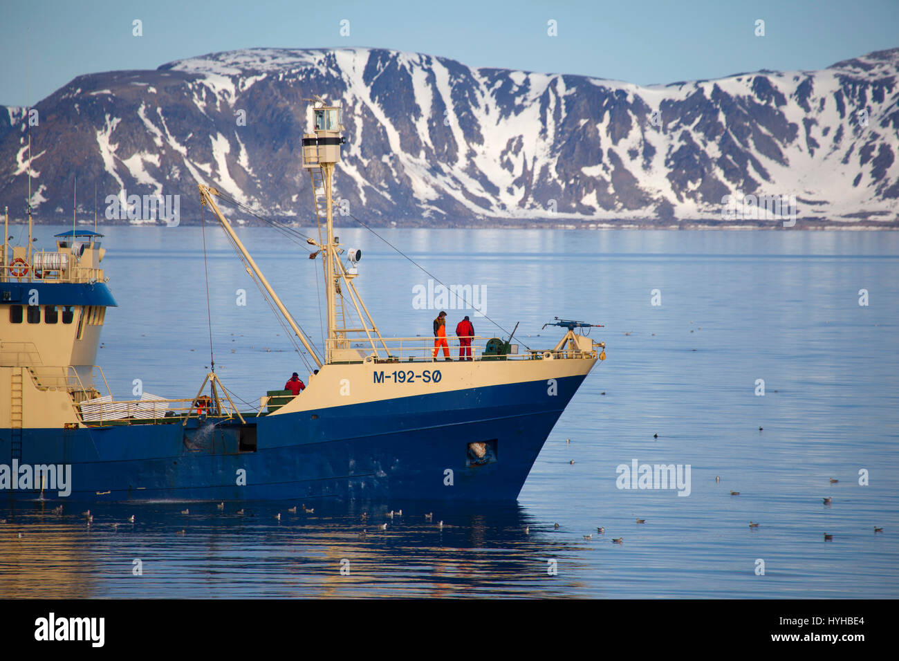 Minke whales norway hi-res stock photography and images - Alamy