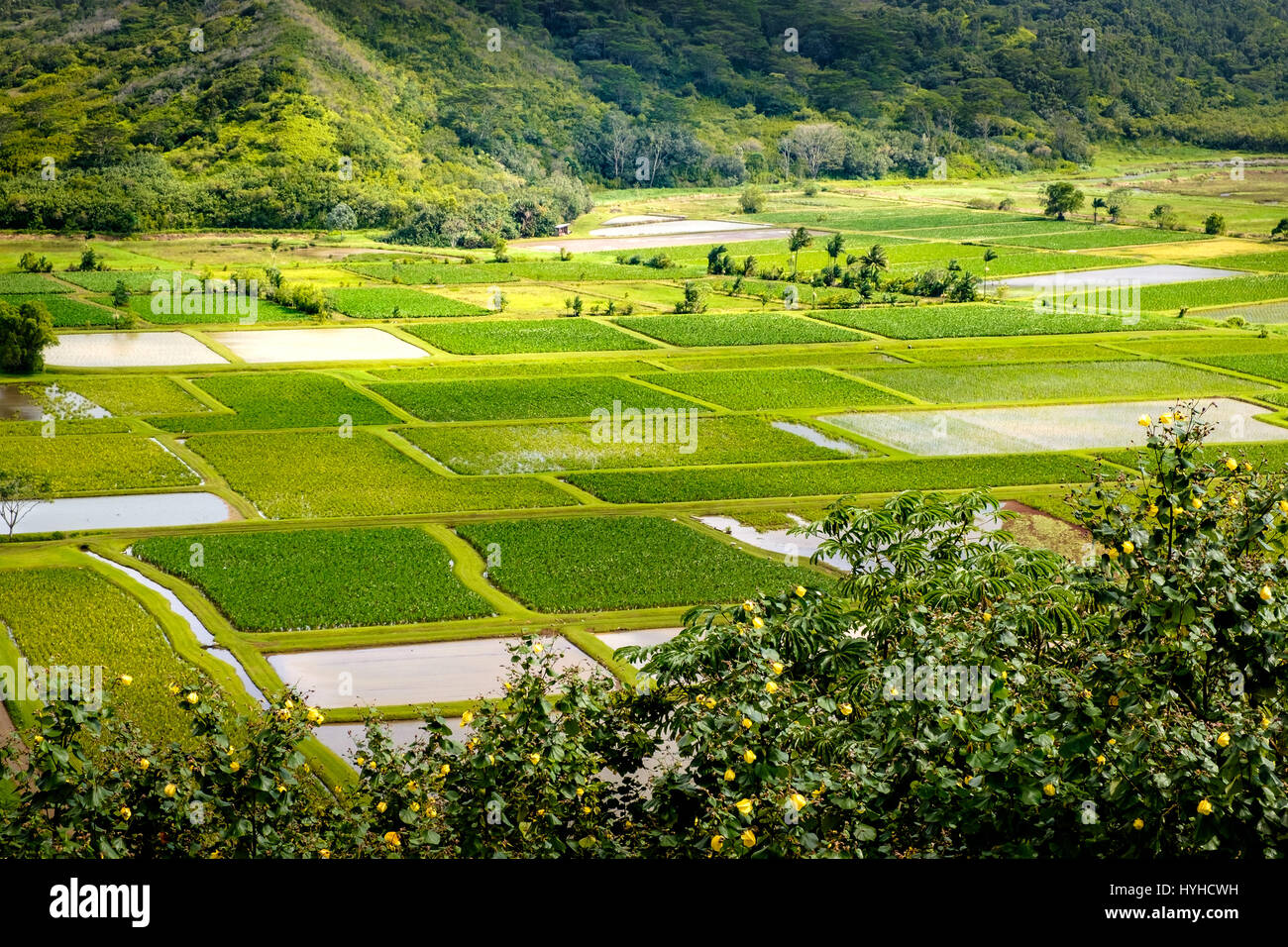 Taro river hi-res stock photography and images - Alamy