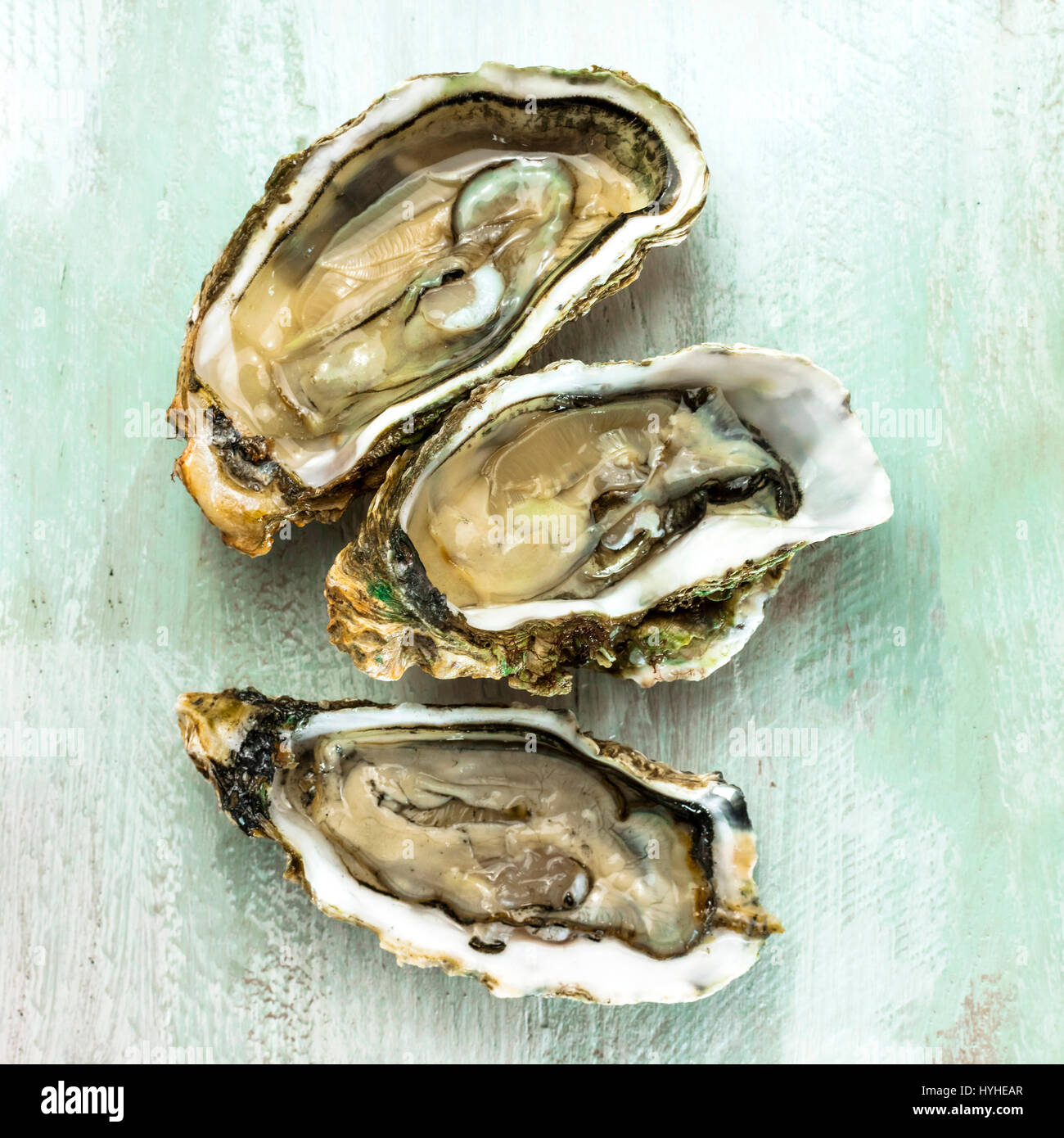 A square photo of freshly opened oysters on a wooden background texture ...