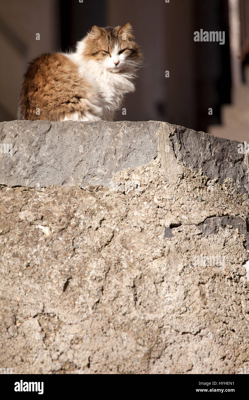 Wilhelm von gloeden hi-res stock photography and images - Alamy