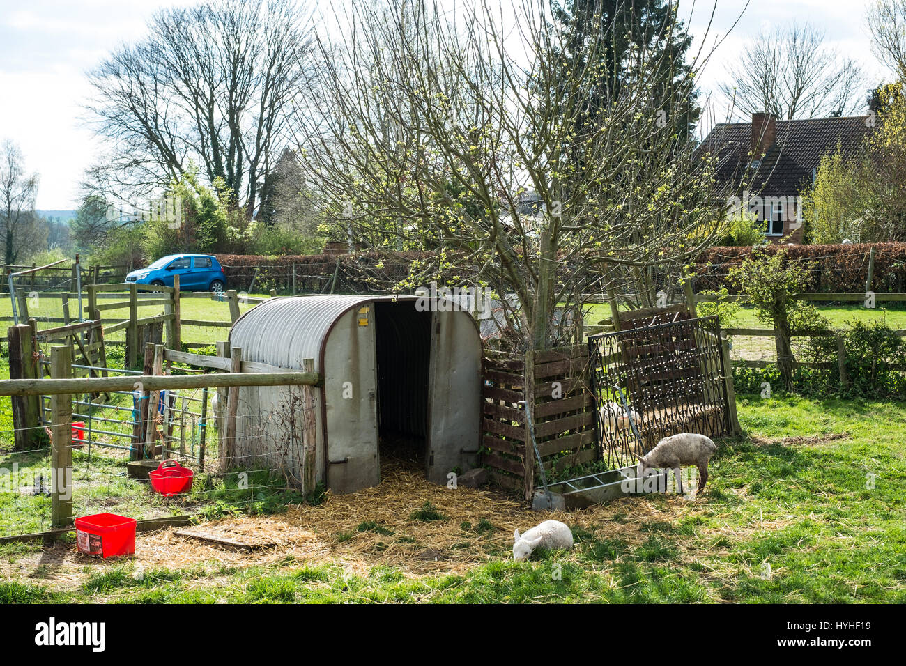A view of Bliss Lane Nursery in Flore, Northamptonshire Stock Photo - Alamy