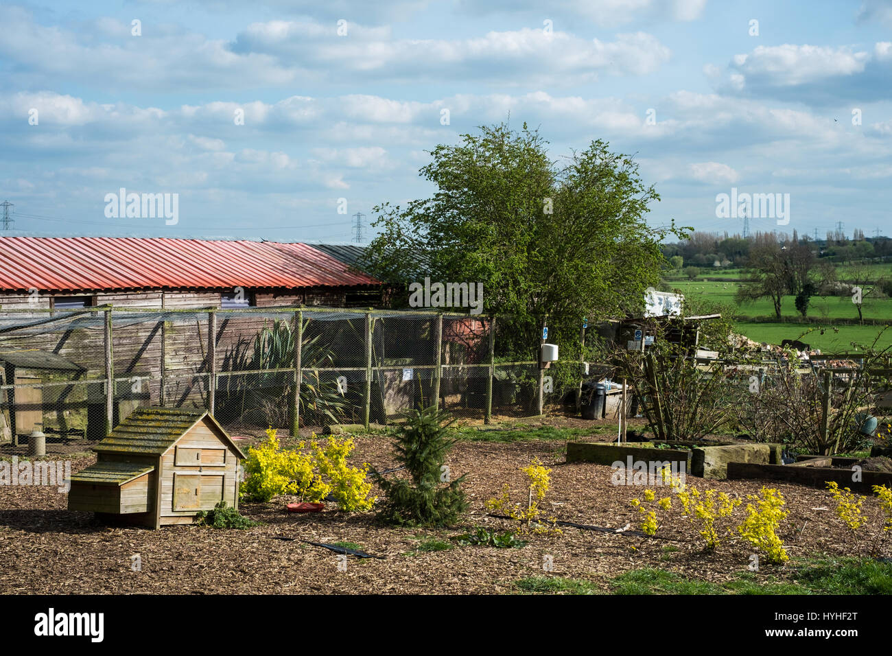 Flore northamptonshire hi-res stock photography and images - Alamy