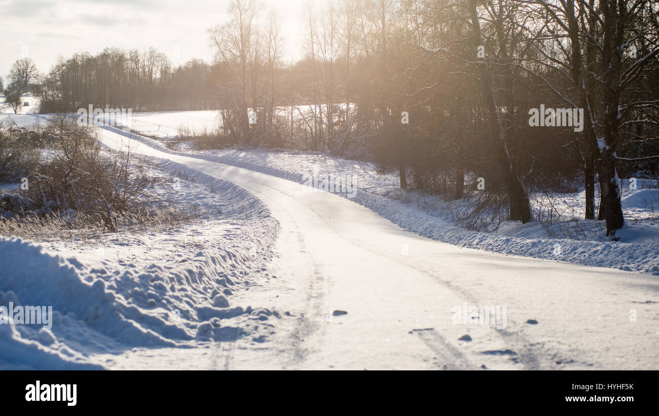 empty road in the countryside with trees in surrounding. perspective in ...