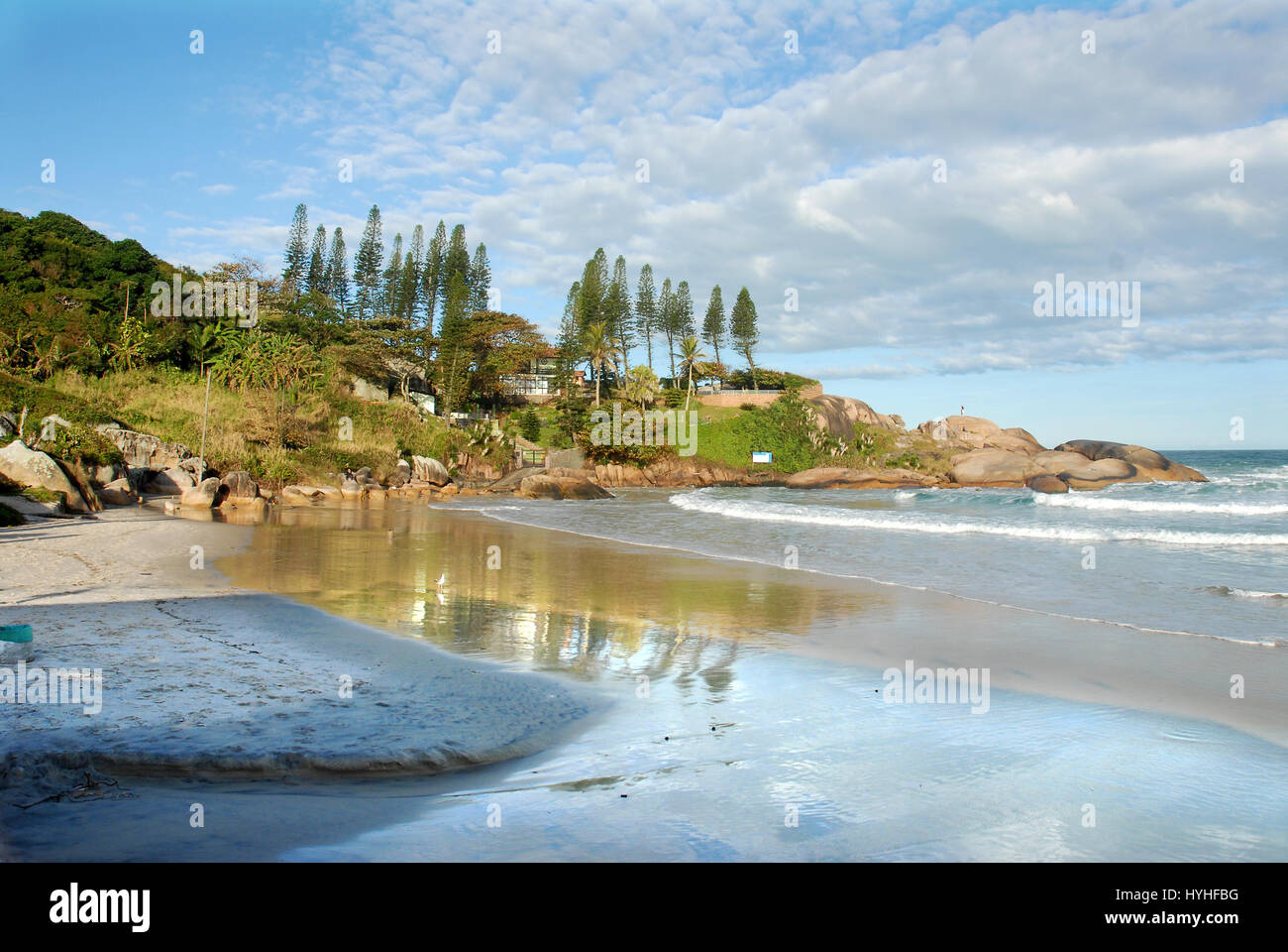 Brazil forest house hi-res stock photography and images - Alamy