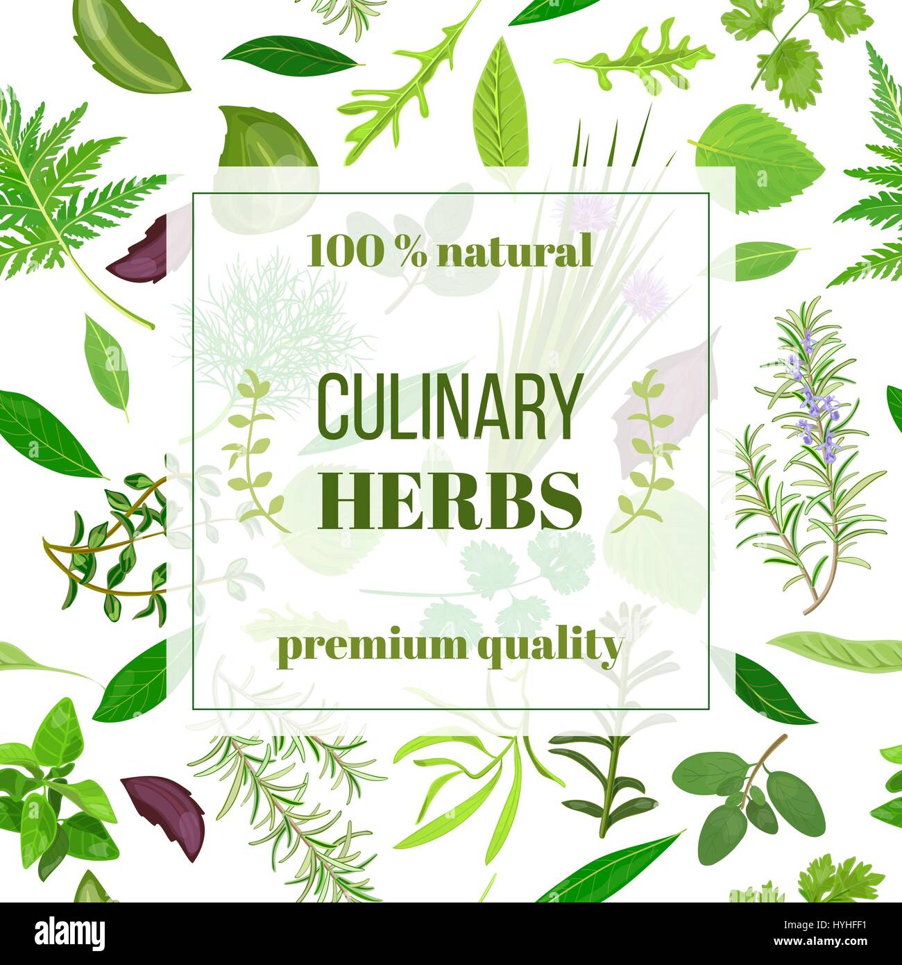 Cooking card Stock Vector Images - Alamy