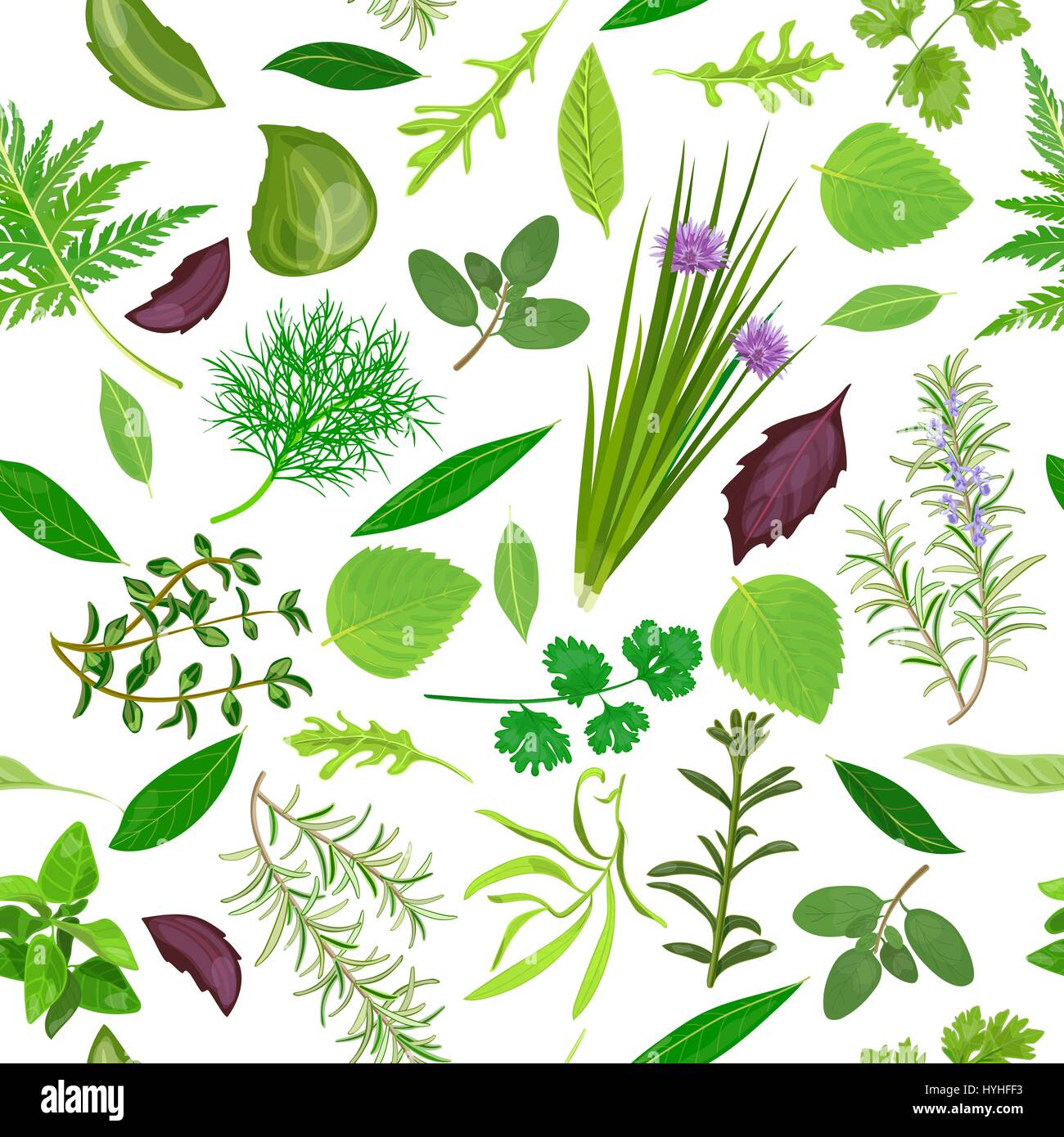 Cooking herbs seamless pattern vector set Stock Vector Image & Art - Alamy Cooking herbs seamless pattern vector set Stock Vector Image & Art - Alamy