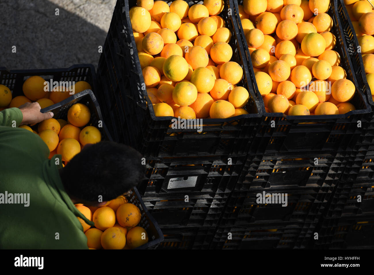 Farmer taking box of fresh orange oranges Stock Photo - Alamy