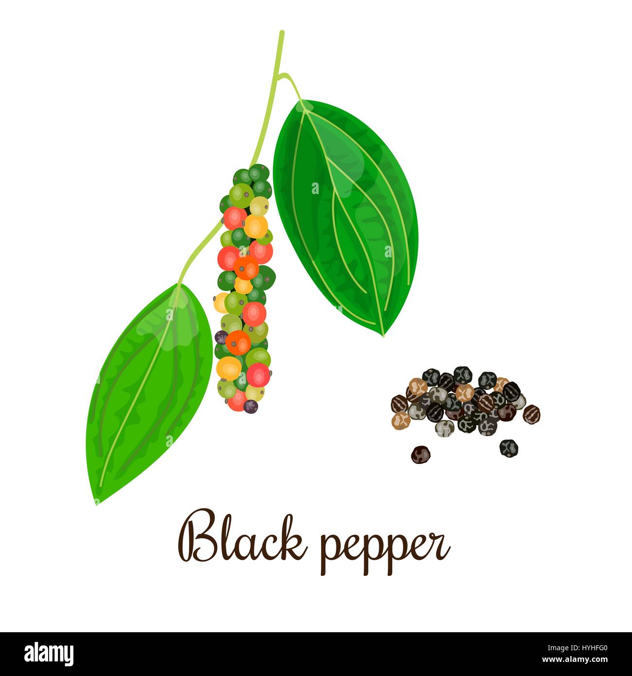 Black to green Stock Vector Images - Alamy