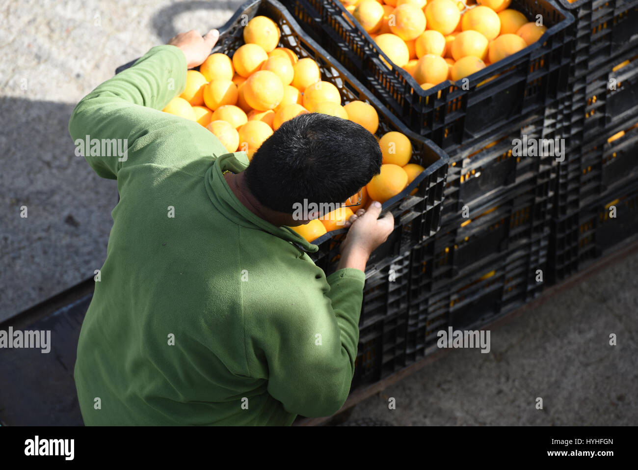 Orange yield men is carrying box of oranges Stock Photo - Alamy