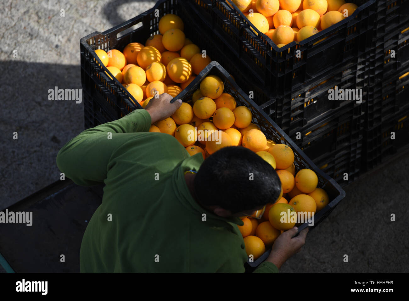 Orange yield men is carrying box of oranges Stock Photo - Alamy