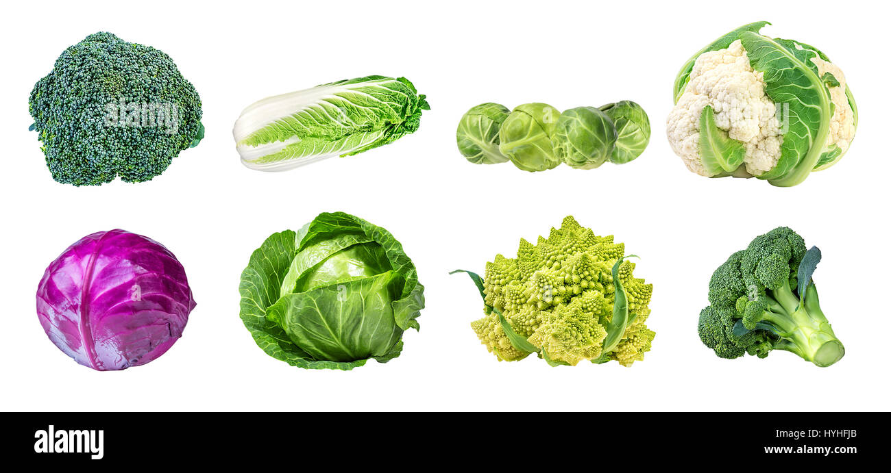 collection cabbages isolated on a white background Stock Photo - Alamy