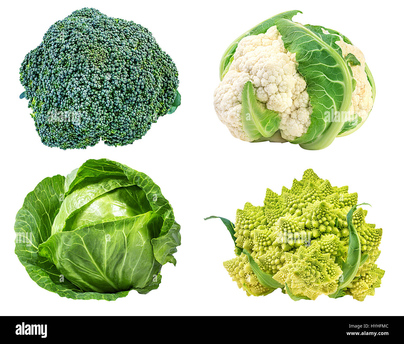 collection cabbages isolated on a white background Stock Photo - Alamy