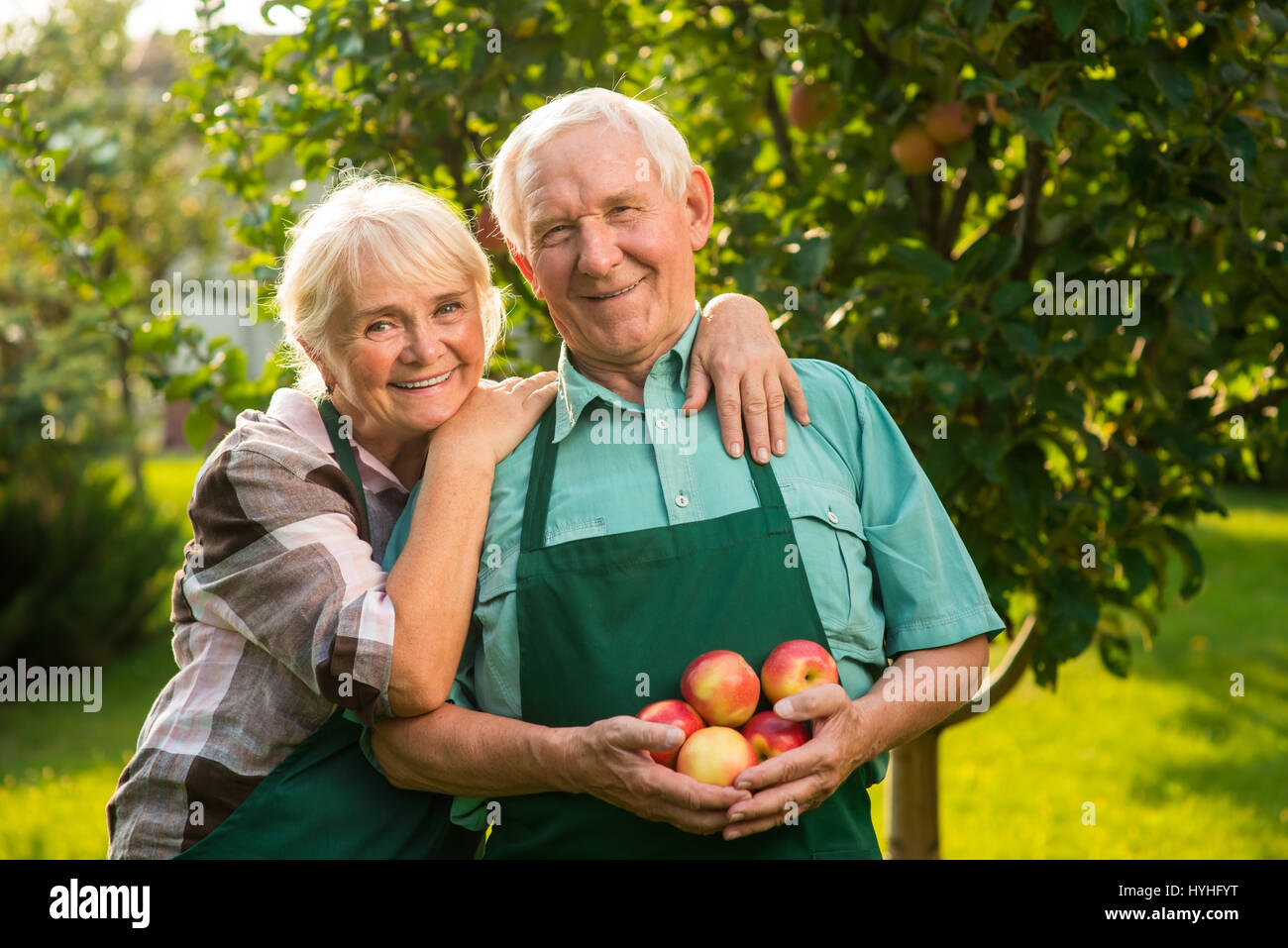 Senior lady apple tree hi-res stock photography and images - Alamy